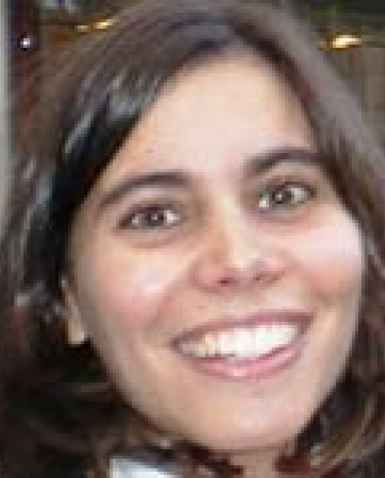 Maria Inês Almeida - I3S - Causas e Avanços da Dor Lombar